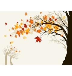 Beautiful autumn tree Royalty Free Vector Image