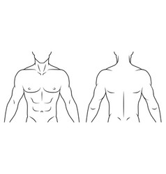 Woman body front and back view Royalty Free Vector Image