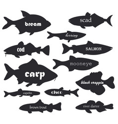 Marine fish identification slate with names Vector Image