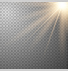 Sunlight on transparent background Royalty Free Vector Image