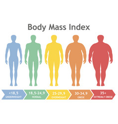 Man bmi body mass index infographics for male Vector Image