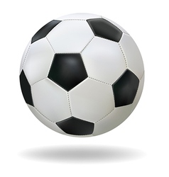 Cranberry Royalty Free Vector Image - VectorStock