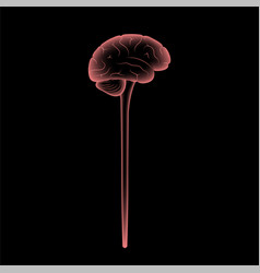 Autonomic nervous system Royalty Free Vector Image