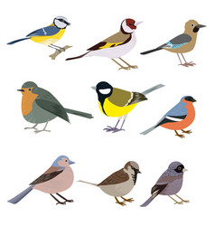 Beautiful flying bird set Royalty Free Vector Image