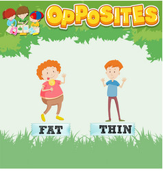 Opposite adjectives thin and fat Royalty Free Vector Image