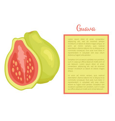 Champoo exotic juicy fruit isolated java Vector Image