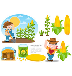 Corn Royalty Free Vector Image - VectorStock