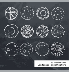 Hand drawn set trees top view for landscape Vector Image