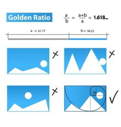 Golden ratio template fibonacci Royalty Free Vector Image