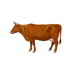 Two red cows Royalty Free Vector Image - VectorStock