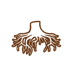 Root icon design template isolated Royalty Free Vector Image