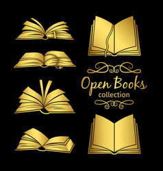 Open book Royalty Free Vector Image - VectorStock