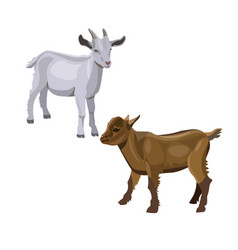 Two red cows Royalty Free Vector Image - VectorStock