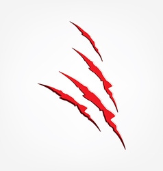 Find your wild - slogan with claw scratch Vector Image