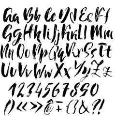 Modern calligraphy vintage handwritten font Vector Image