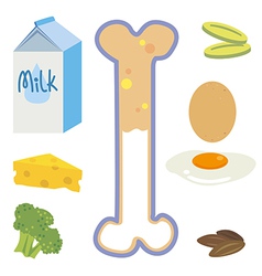 Calcium mineral supplements rich food icons Vector Image