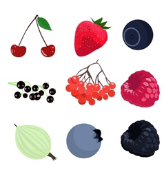 Berry set Royalty Free Vector Image - VectorStock