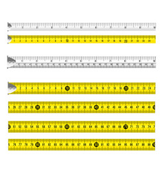 Measuring rulers school ruler metric scale Vector Image