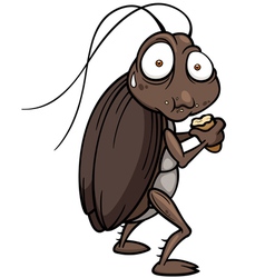 Cockroach Royalty Free Vector Image - VectorStock