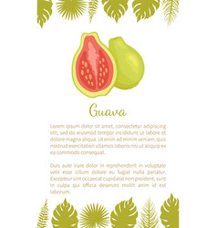 Champoo exotic juicy fruit isolated java Vector Image