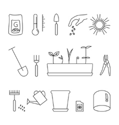 Timeline infographic of planting tree process Vector Image