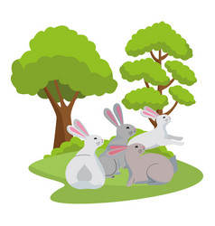 Zoo animal alphabet r for rabbit Royalty Free Vector Image