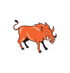 Razorback Royalty Free Vector Image - VectorStock