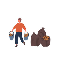 Potatoes on the field Royalty Free Vector Image