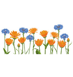 Set yellow flowers Royalty Free Vector Image - VectorStock