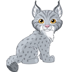 Cartoon lynx isolated on a white background Vector Image