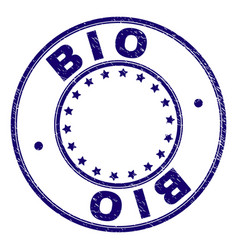 Circle seal stamp frame Royalty Free Vector Image