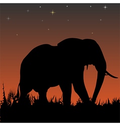 Prius club logo Royalty Free Vector Image - VectorStock