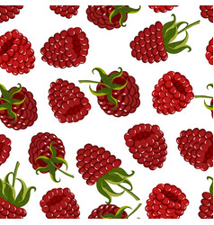 Raspberry pattern Royalty Free Vector Image - VectorStock