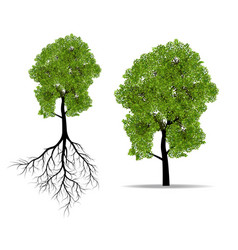 A big old tree Royalty Free Vector Image - VectorStock