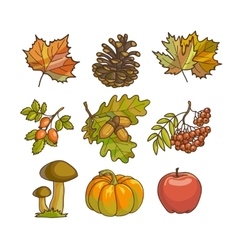 Autumn objects theme set 1 Royalty Free Vector Image