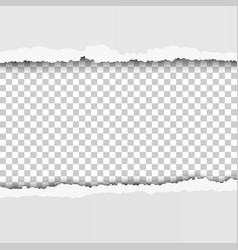 Realistic torn paper set with ripped edges space Vector Image