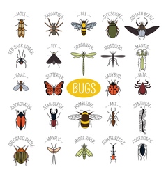 Insect flat icons set Royalty Free Vector Image