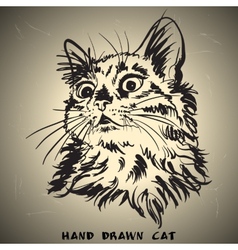 Line drawing cat vector by vanias - Image #874976 - VectorStock