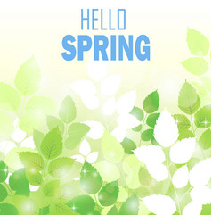 Spring meadow with green leaves background Vector Image