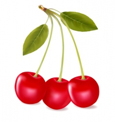 Three cherries with green Royalty Free Vector Image