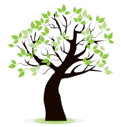 Abstract tree Royalty Free Vector Image - VectorStock