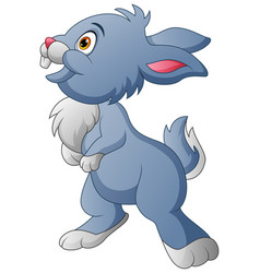 Funny rabbit cartoon Royalty Free Vector Image
