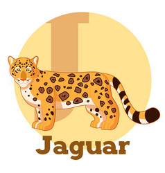 Cute jaguar cub Royalty Free Vector Image - VectorStock