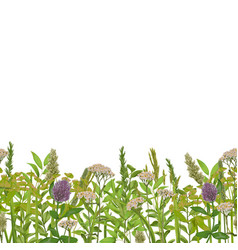 Greenery seamless double border Royalty Free Vector Image