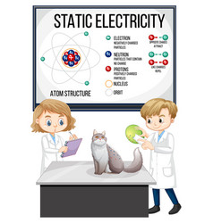 Static electricity with balloon and wood Vector Image