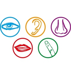 5 senses icon set touch smell hearing vision Vector Image