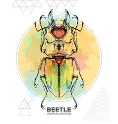 Realistic hand drawing shield beetle artistic bug Vector Image