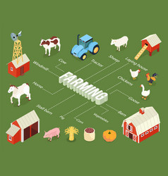 Poultry farm isometric flowchart Royalty Free Vector Image