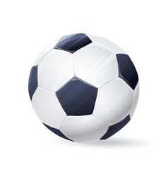 Leather soccer ball Royalty Free Vector Image - VectorStock