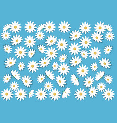 Cartoon daisy flowers different primitive Vector Image